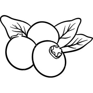 Blueberry coloring page | Coloring For Kids