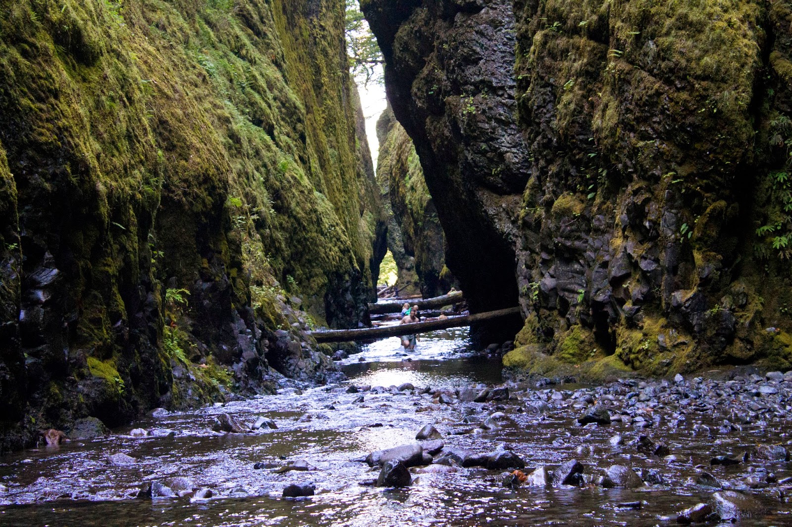 Dave Goes Outside: Wauna Viewpoint, Oneonta Gorge, and Bridal Veil falls