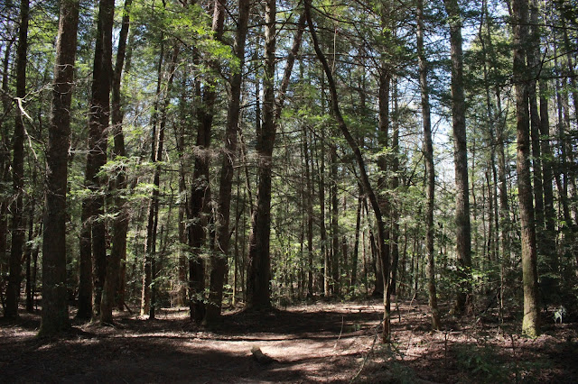 Cumberland Gal: Last Day of Camping at Davy Crockett Campground ...