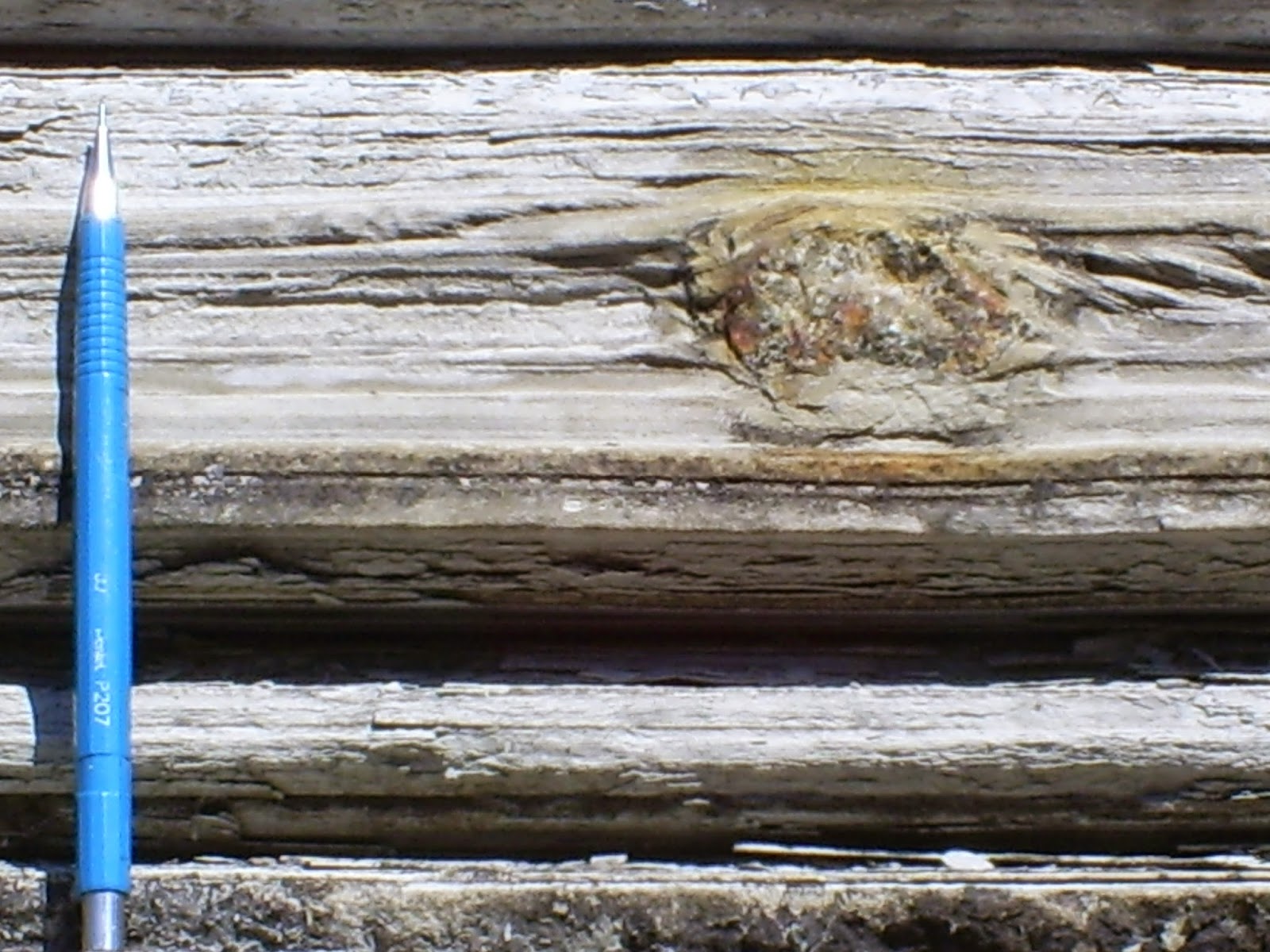 Procuro pedras pelo caminho: Parques Naturais da Rocha Moutonnée em ...