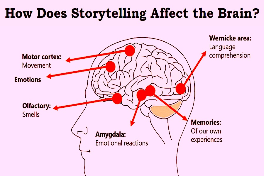 Importance of Stories in Our Lives: How Storytelling Affects the Brain?