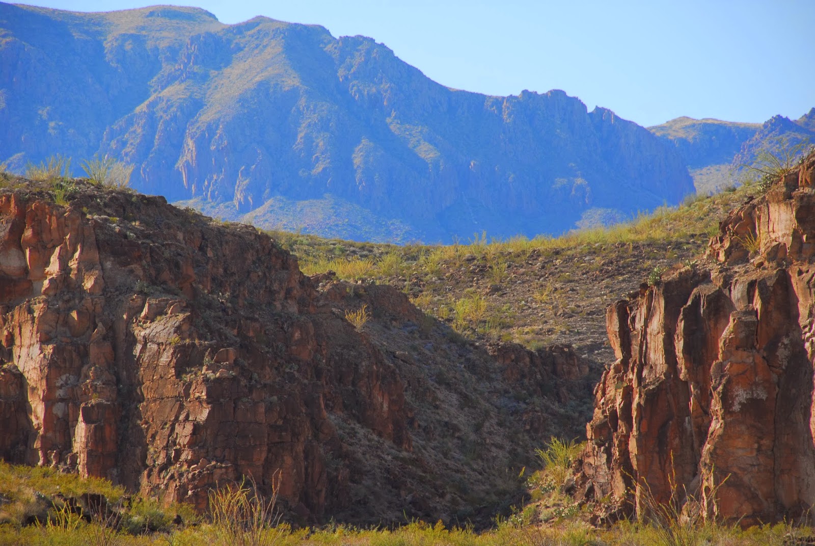 Texas Mountain Trail Daily Photo: Colorado Canyon, Along the River Road