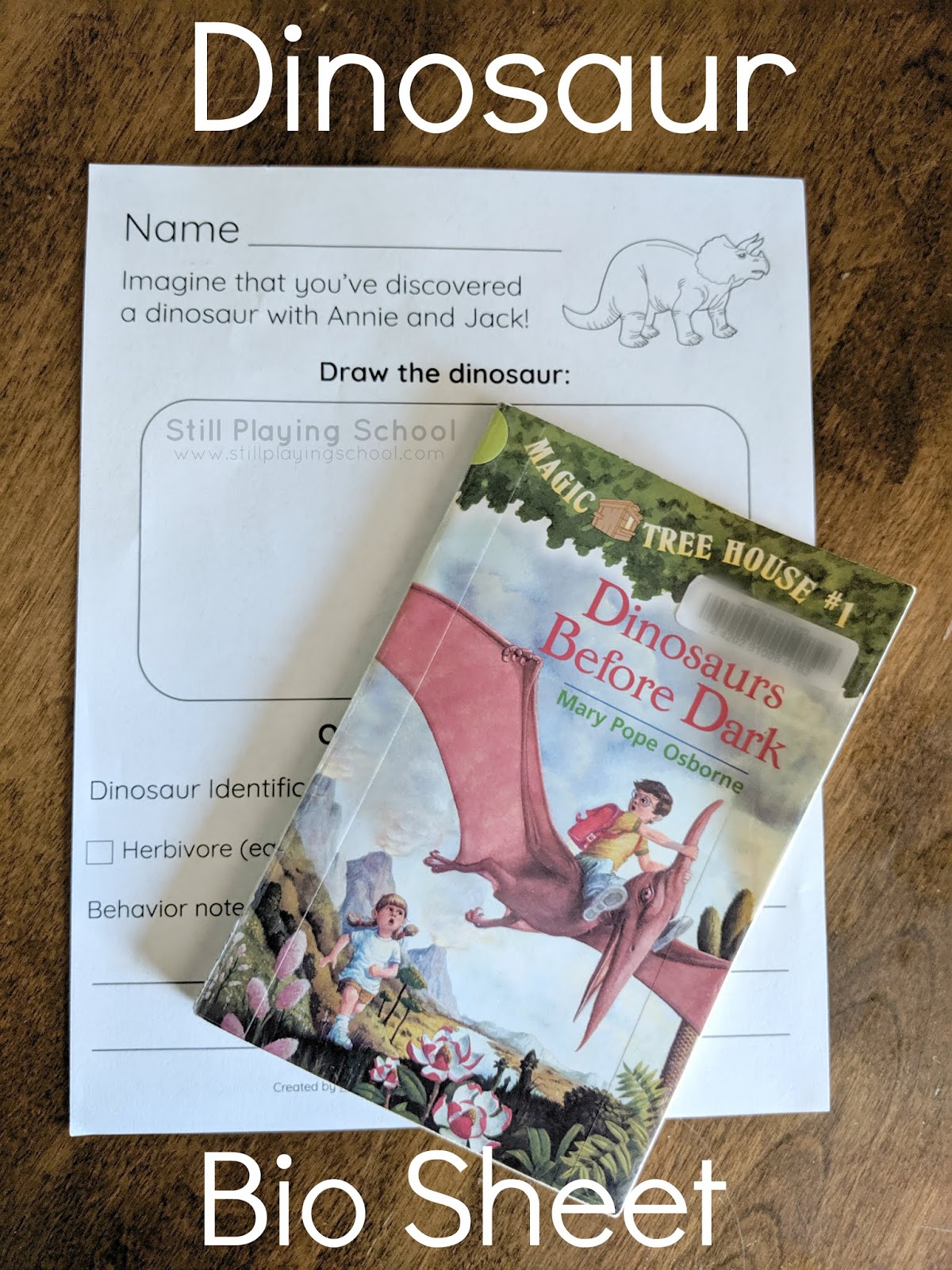 Dinosaur Report | Still Playing School