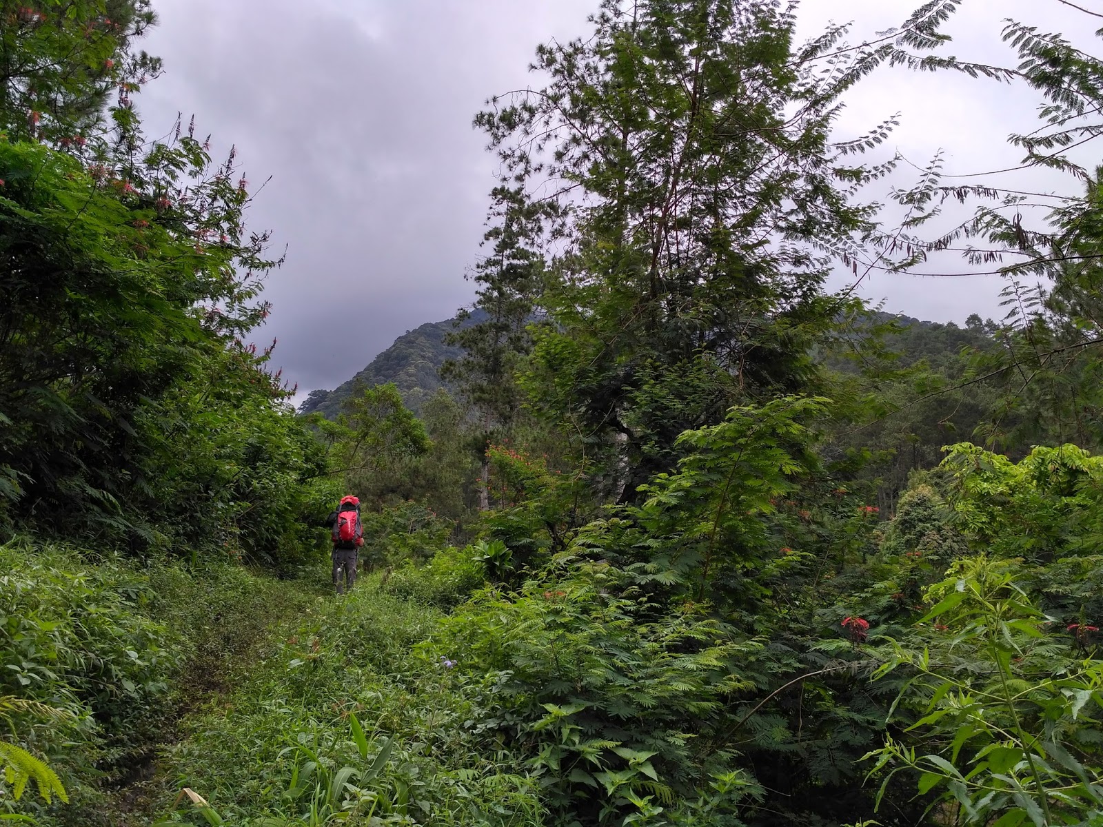 Puncak Mega Gunung Puntang 2222 Mdpl di Bandung Selatan