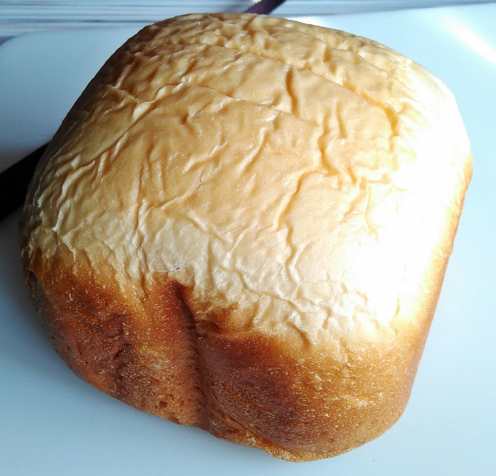Small Small Baker: Mayer Breadmaker - Wu Pao Chun Bread 吴宝春面包