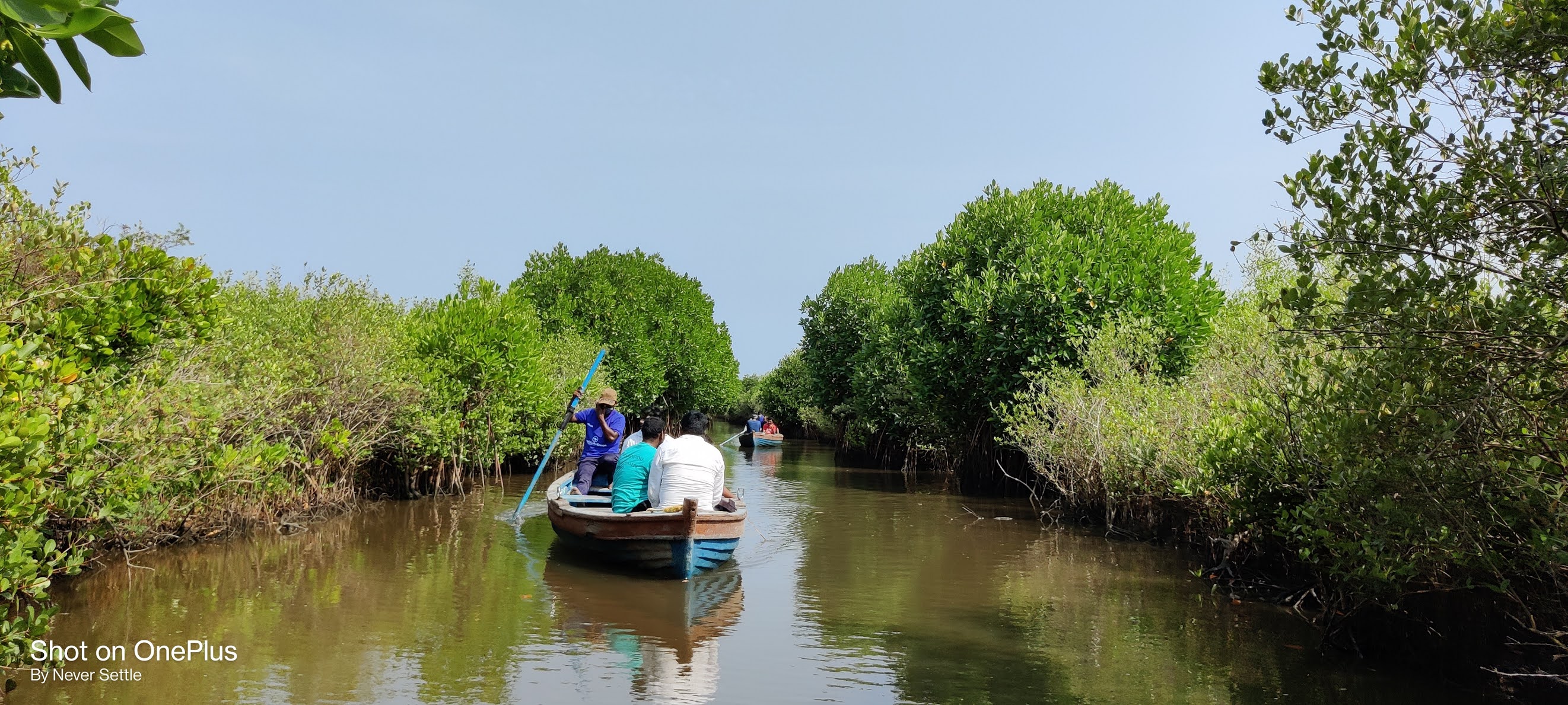My Trip to Mangrove Forest - Pichavaram