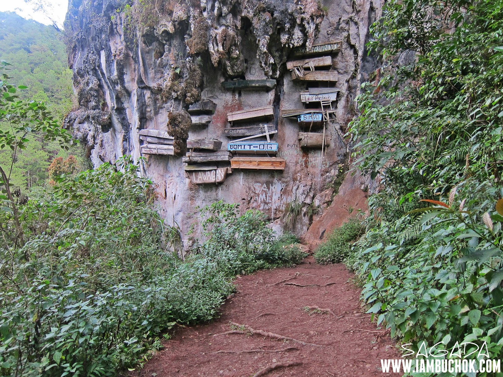The Echo Valley & The Hanging Coffins; Sagada's Best! | THEKIDWANDERER