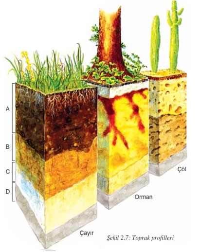 COGRAFYAHANE: TOPRAĞIN OLUŞUMU VE ÇEŞİTLERİ