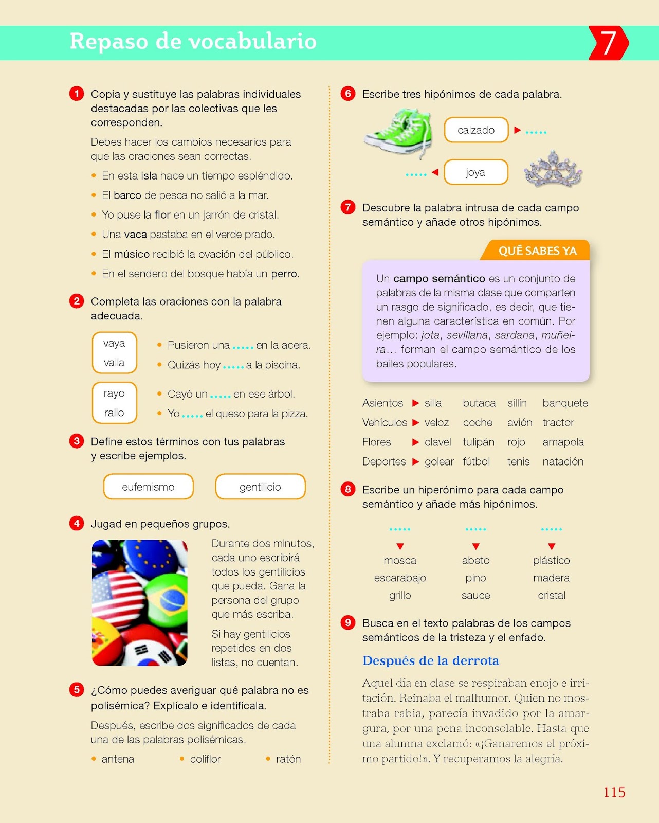 TERCER CICLO: Lengua 5º