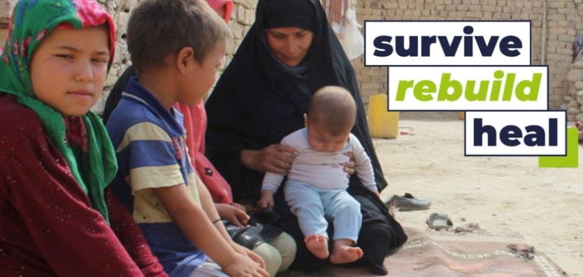 The Cathedral Parish of St Peter and St Thomas More: CAFOD Harvest ...