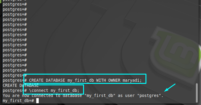 Dimensi TutupBotol Create And Connect To Postgresql DB In Linux Mint dimensi-tutupbotol-create-and-connect-to-postgresql-db-in-linux-mint
