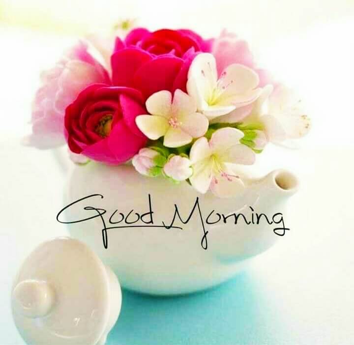 Best 35+ Good Morning Images For Facebook || Good Morning Images For ...