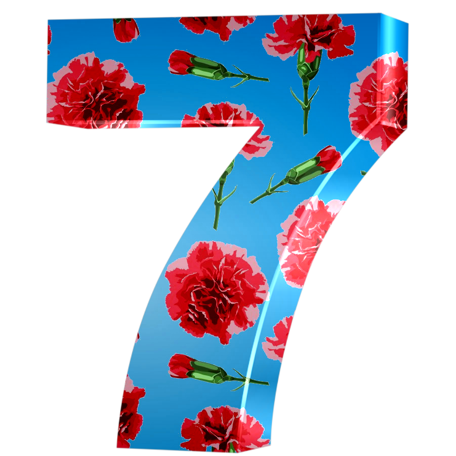 Monica Michielin Alphabets: BLUE RED CARNATION FLOWER ALPHABET LETTER ...