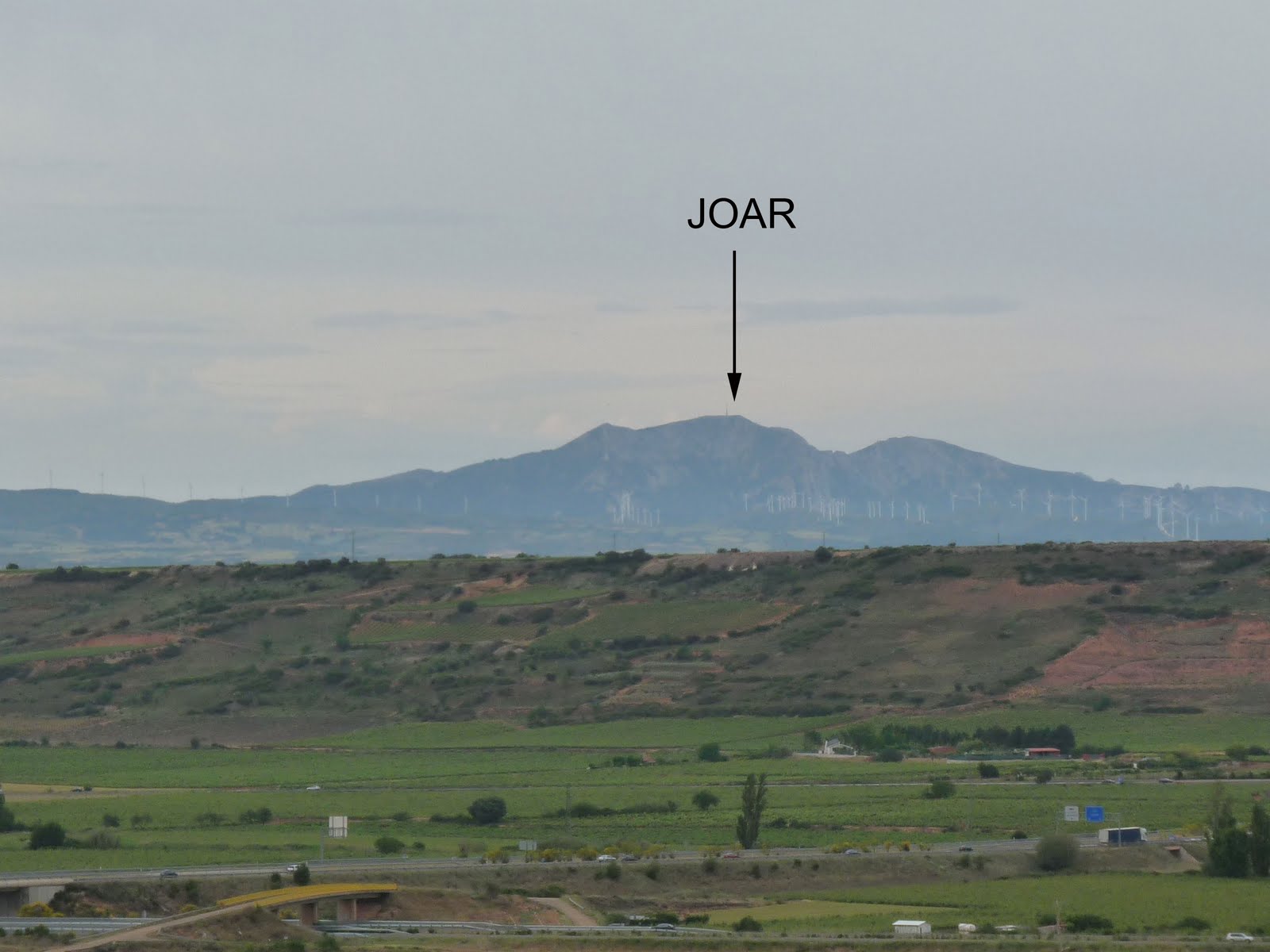 ECHADO AL MONTE: JOAR (1419)
