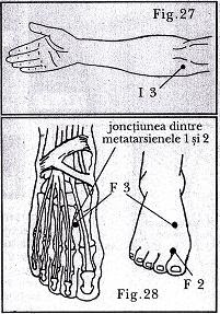 Uniune Spirituală: punctele focar bioenergetice care induc stări ...