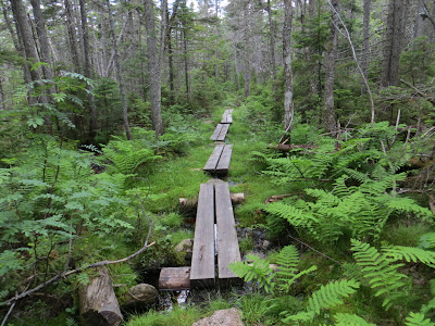 Mountain Wandering: Mount Hale Loop: 7/4/13