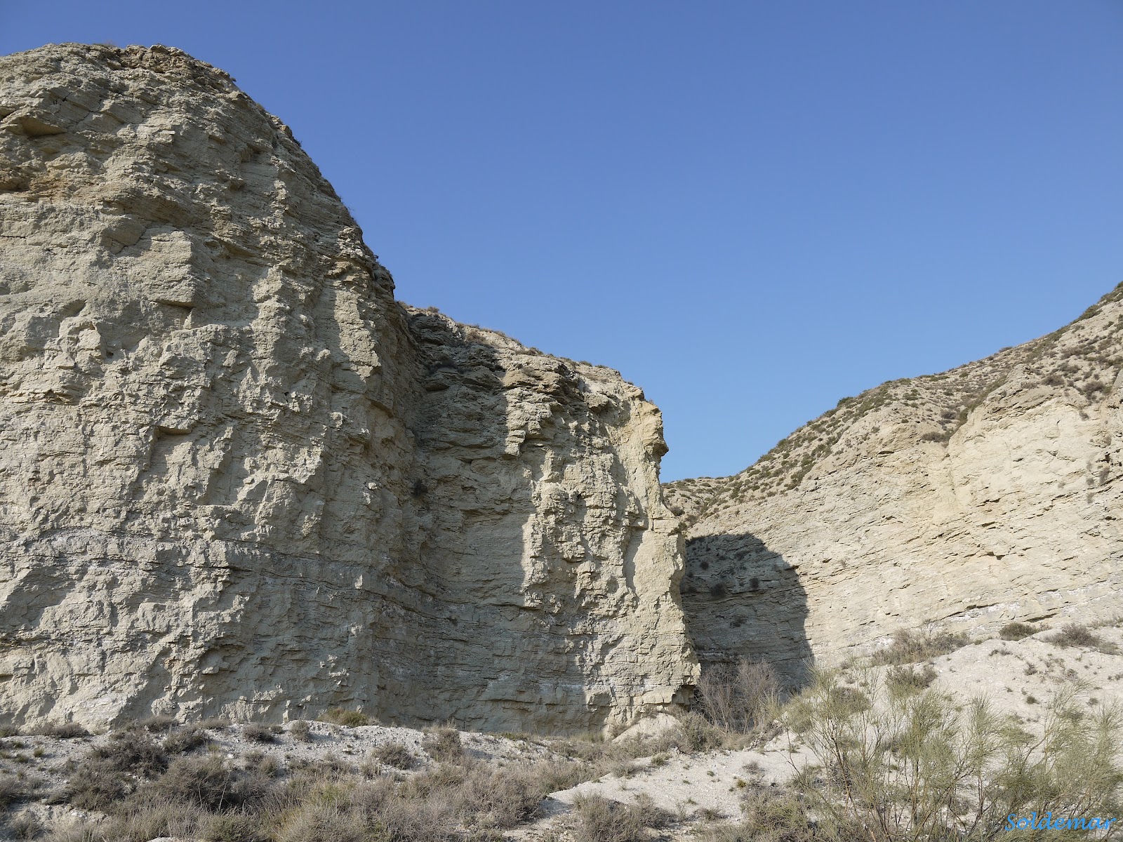 ¡UN POCO DE TODO!: El Galacho de Juslibol