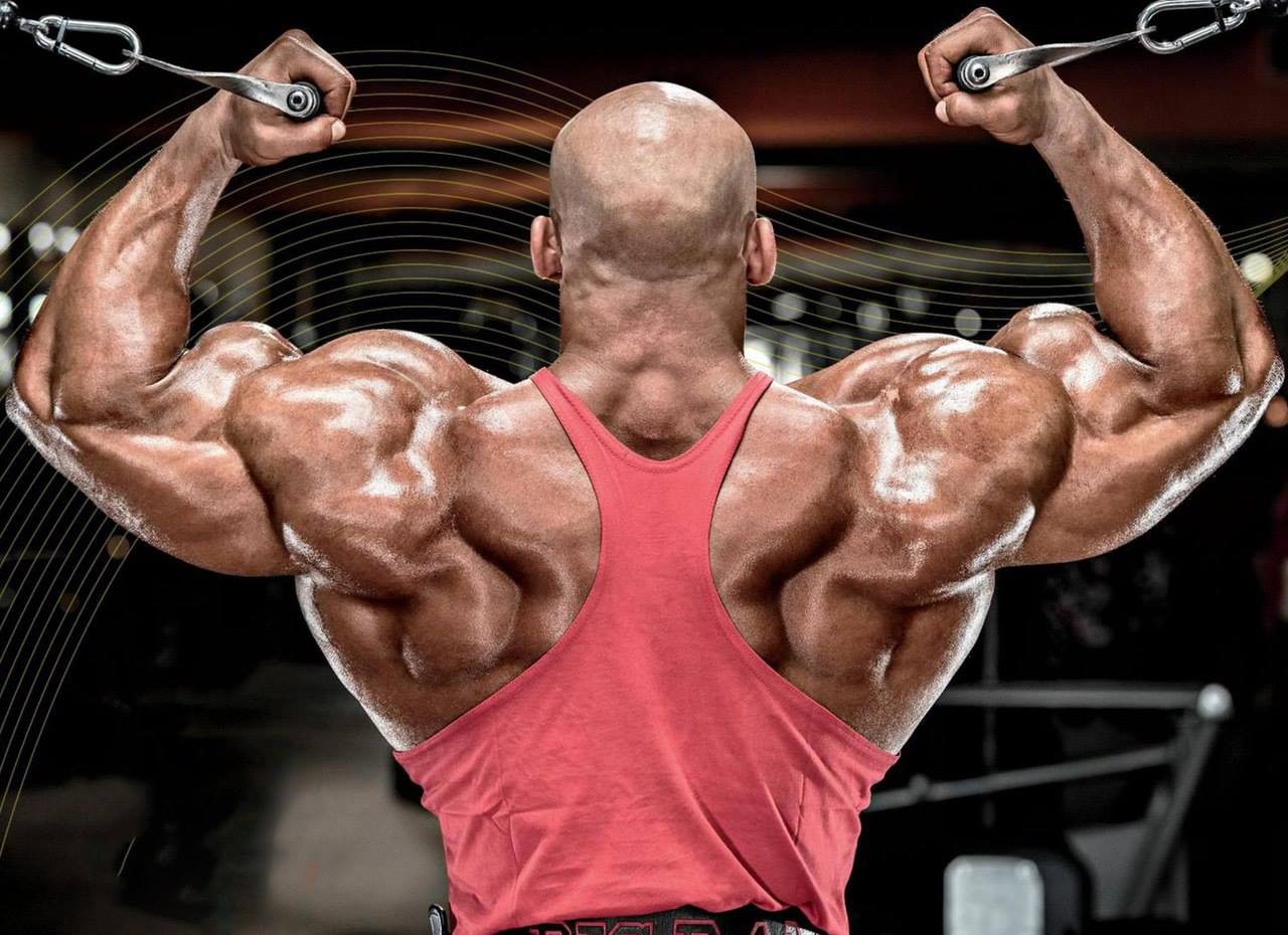 Muscle Lover: Biceps & Biceps by IFBB Pro Mamdouh "Big Ramy" Elssbiay