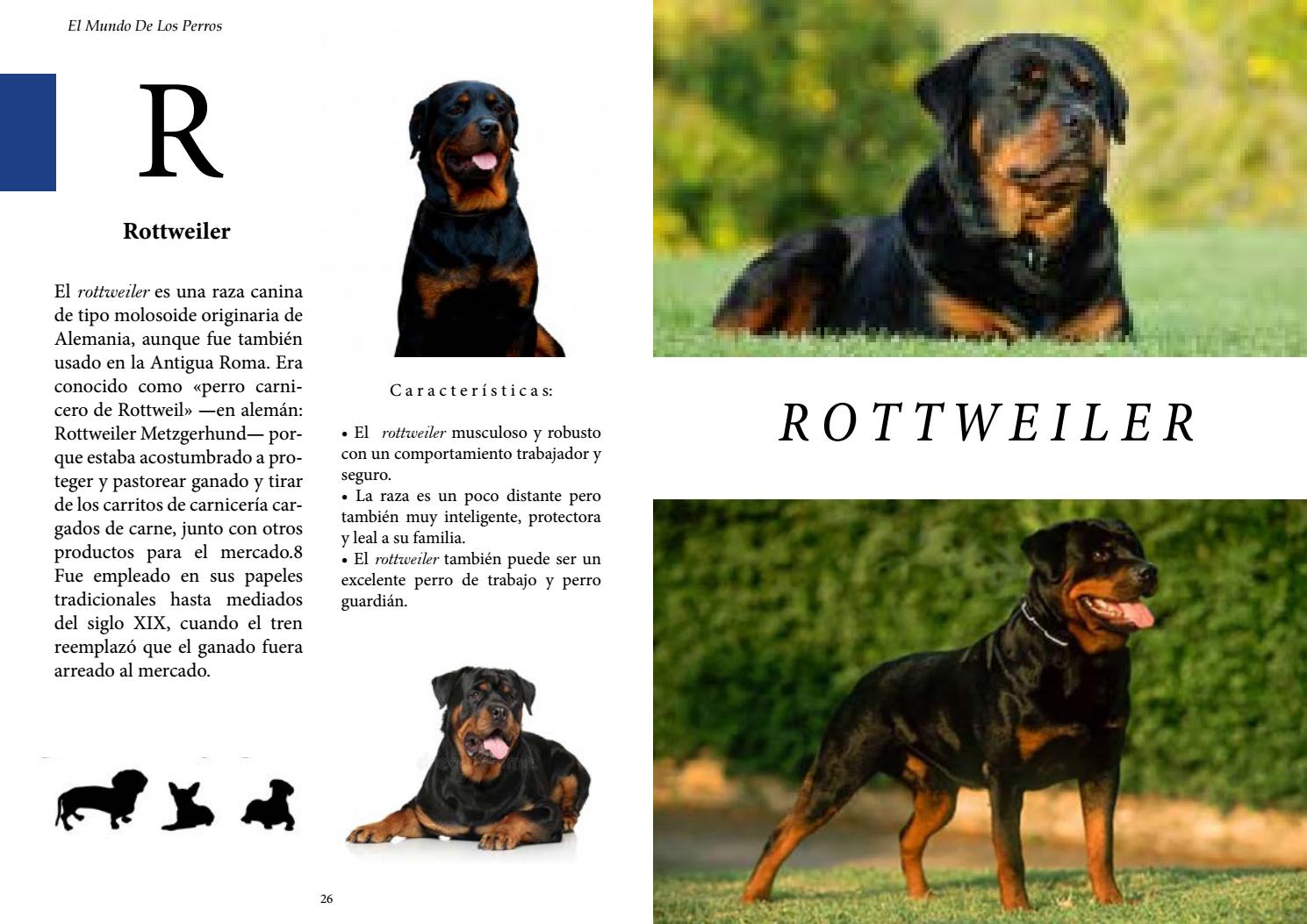 PERROS Y GATOS FAMOSOS: ENCICLOPEDIA DE LOS PERROS TIPOS DE RAZAS