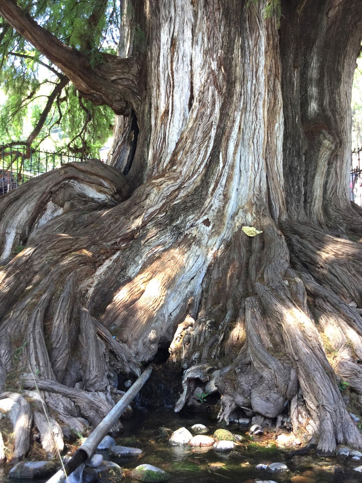CONOCER MÉXICO POCO A POCO: - Chalma: El Santuario del Señor de Chalma