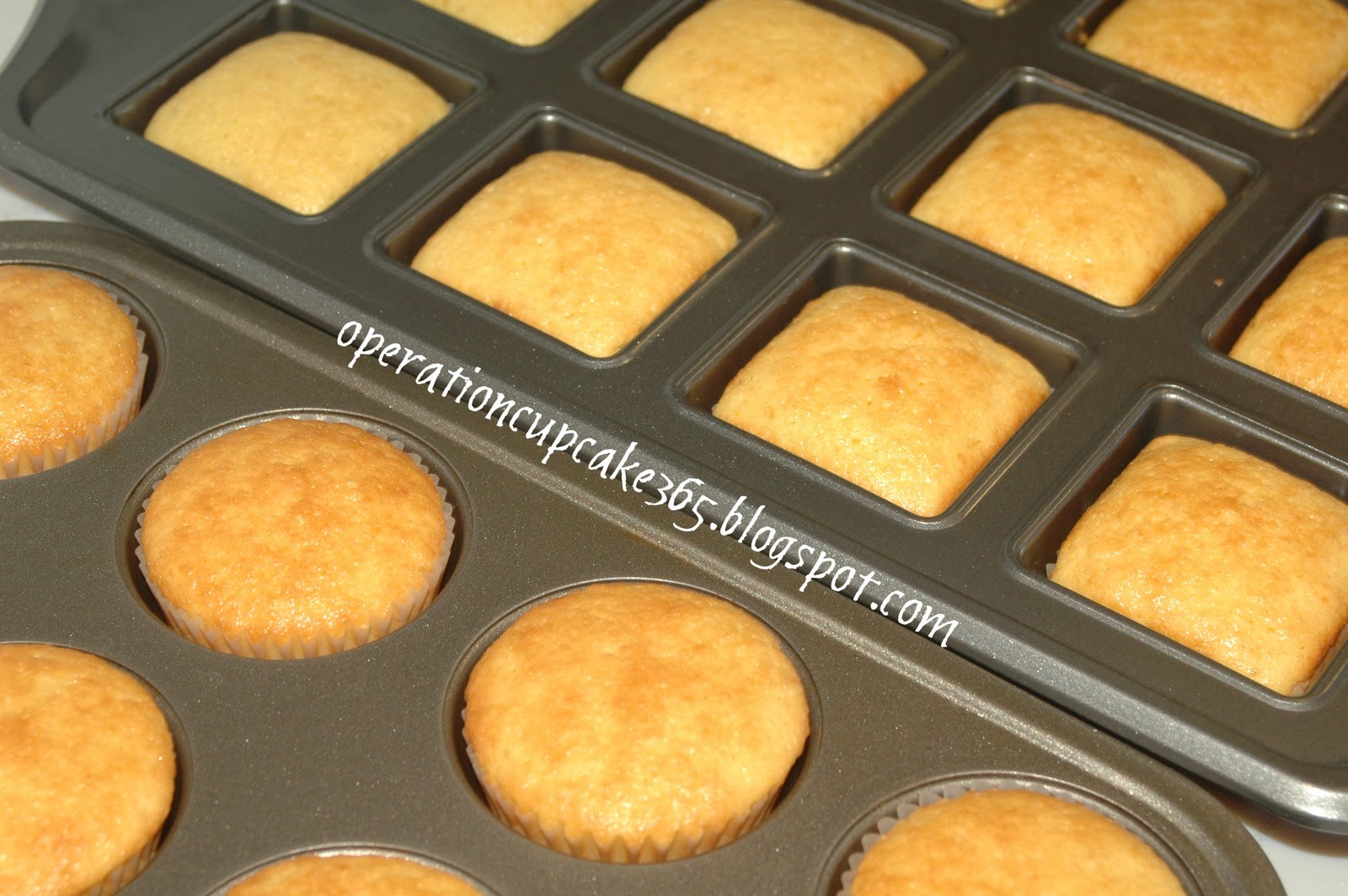 All the Pretty Cupcakes: How to make Square Cupcakes