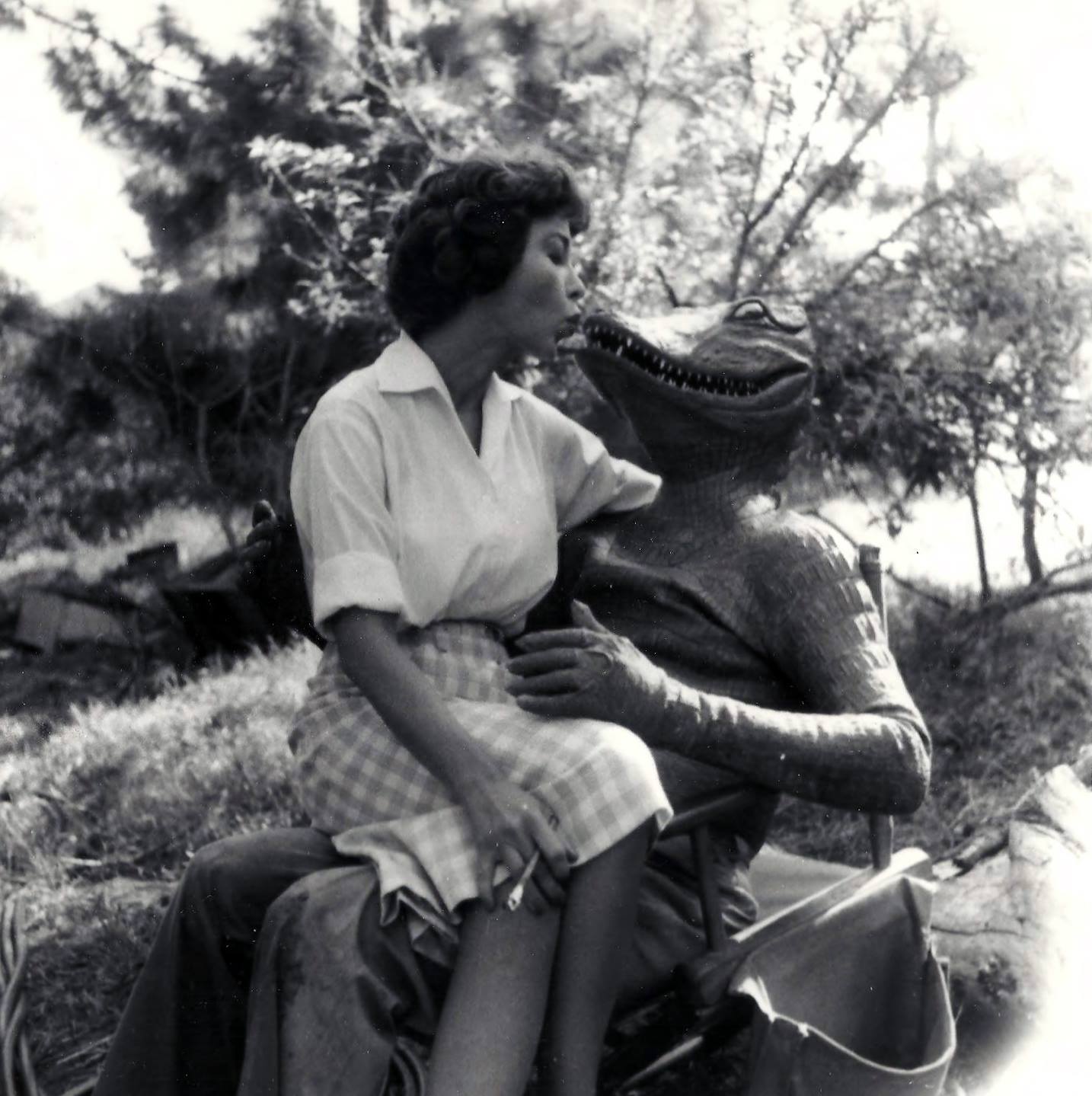 ‎The Alligator People (1959) directed by Roy Del Ruth • Reviews, film ...