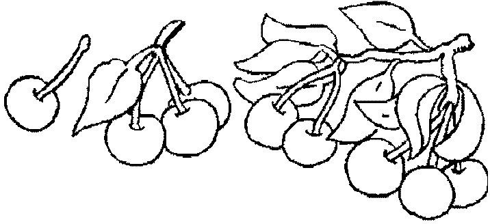 Düş Kanyonu : Meyve ve Sebze Boyama Sayfaları