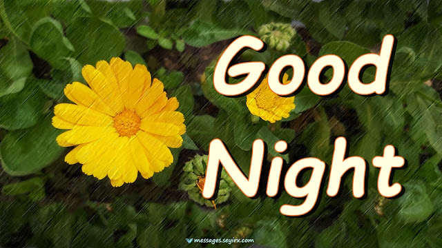 Good Night Images, Yellow flowers - Happy Birthday - HBDAY.ART