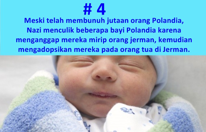 KUMPULAN FAKTA UNIK - PERANG DUNIA II | fakta dan misteri unik KUMPULAN FAKTA UNIK - PERANG DUNIA II | fakta dan misteri unik