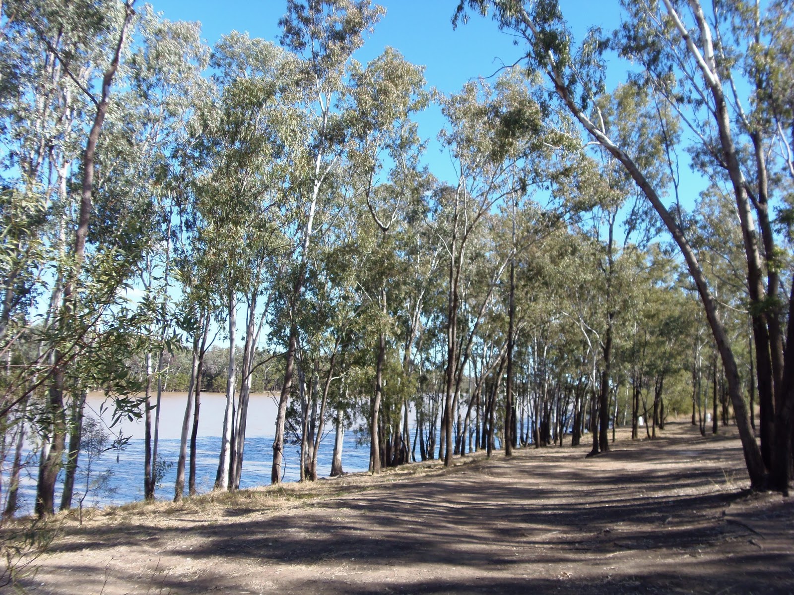 Solo Steve On The Road: GLEBE WEIR at TAROOM Qld
