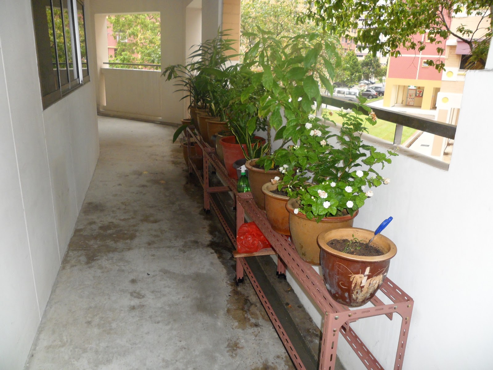 Me & Decor: Gardening in HDB flats
