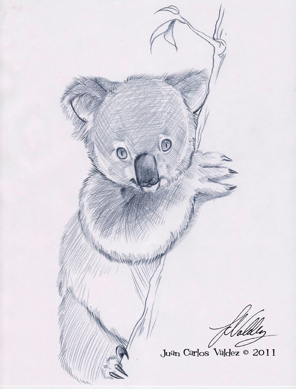 JC Valdez's Art and Animation Blog: Drawings