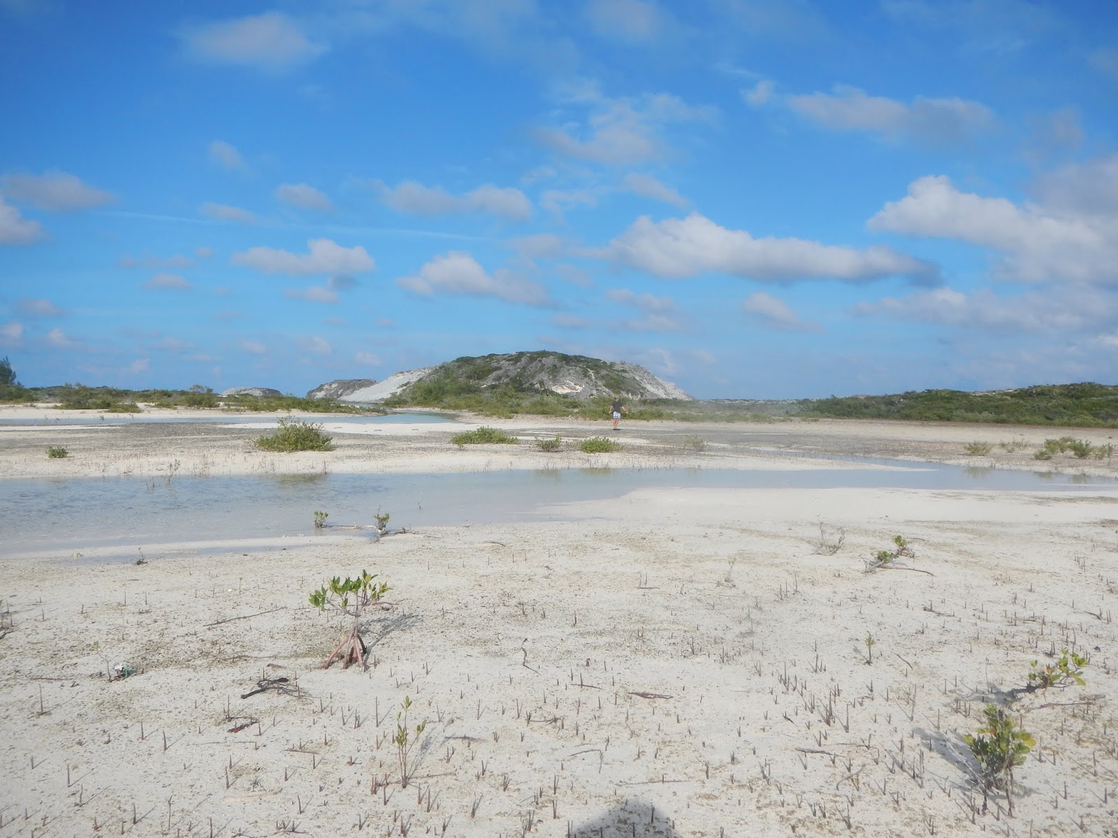 Millévasions: Compass cay, Exumas, Bahamas