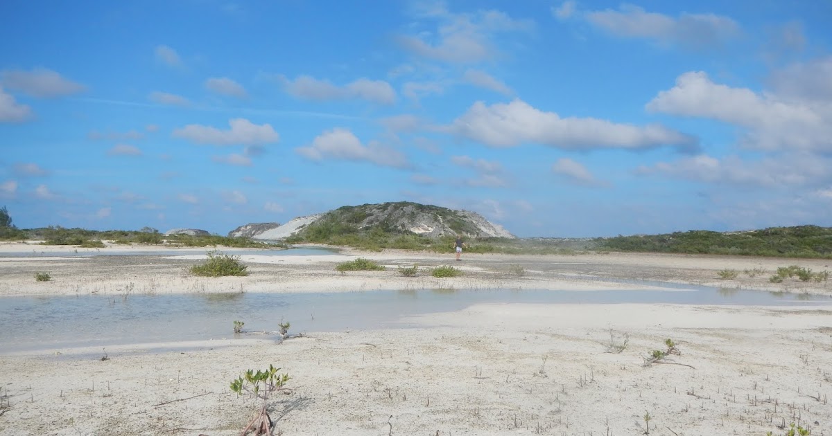 Millévasions: Compass cay, Exumas, Bahamas