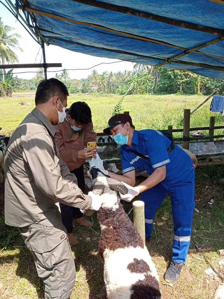 Jelang Idul Adha, Dinas Pertanian Banten Lakukan Monitoring Kesehatan ... Jelang Idul Adha, Dinas Pertanian Banten Lakukan Monitoring Kesehatan ...