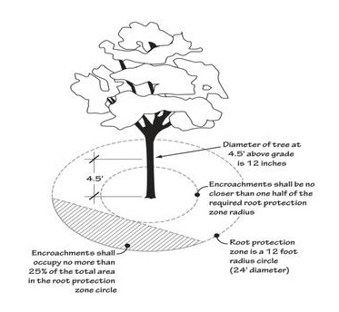Plant Nursery: Tree Protection System