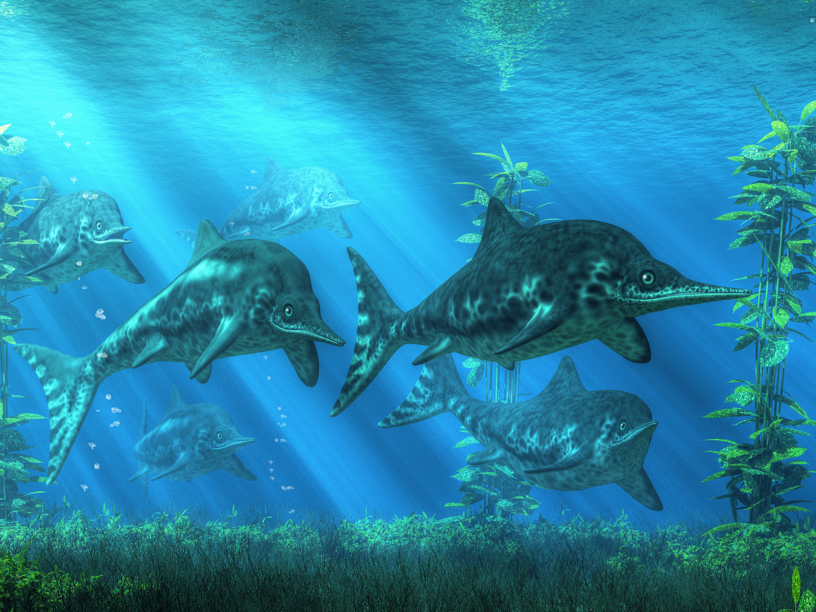 FOSSIL HUNTRESS: ICHTHYOSAURS, SHARKS AND BLUBBER