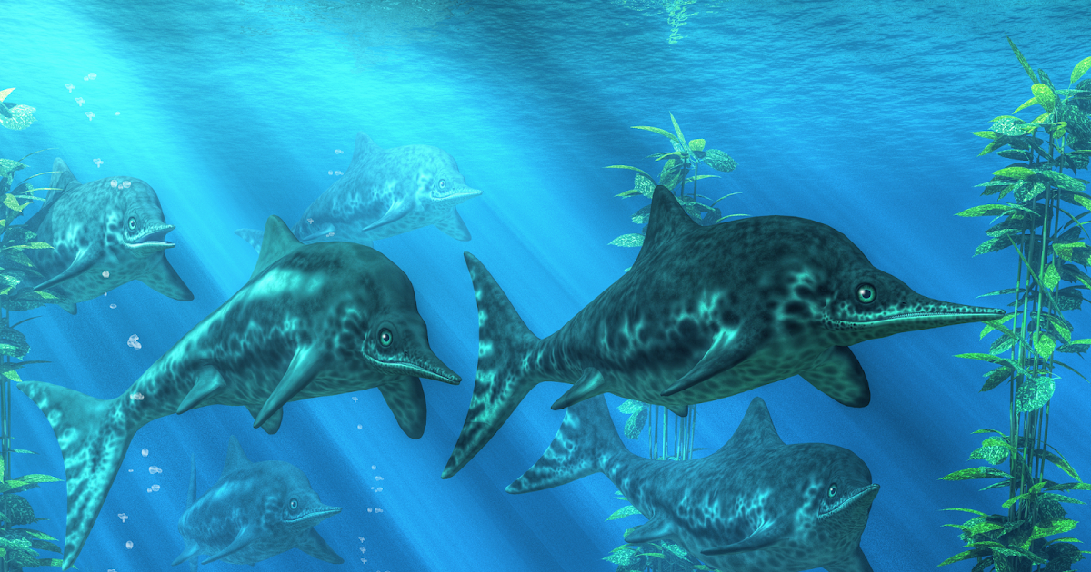 FOSSIL HUNTRESS: ICHTHYOSAURS, SHARKS AND BLUBBER