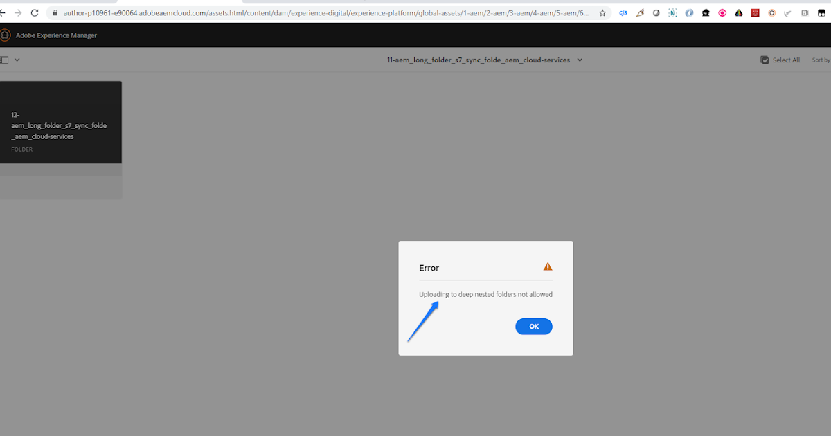Experiencing Adobe Experience Manager (AEM, CQ): AEM Cloud Service - Dynamic Media folder path ...