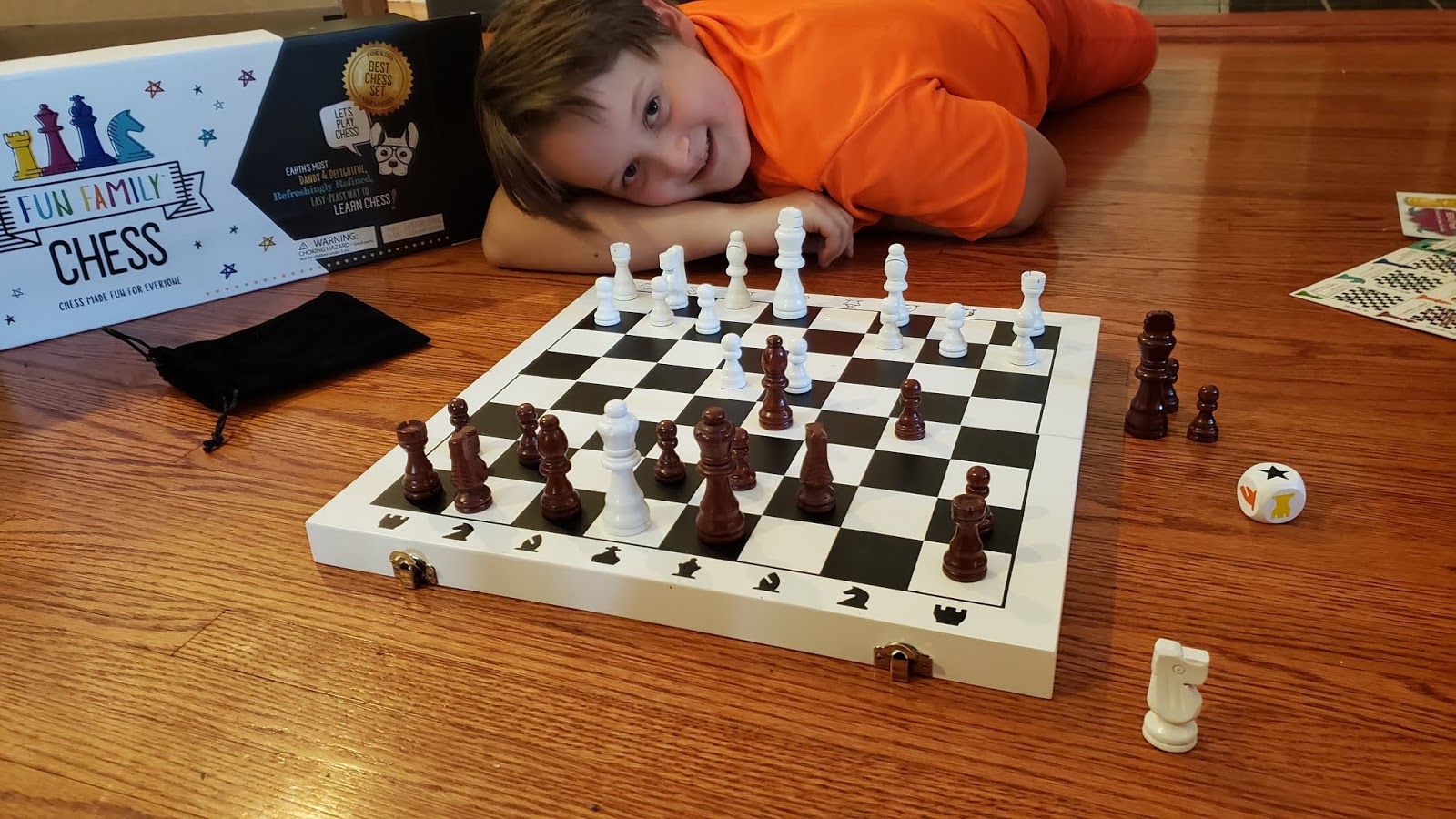 Walking Home . . .: Fun Family Chess ~~ A New TOS Review!!