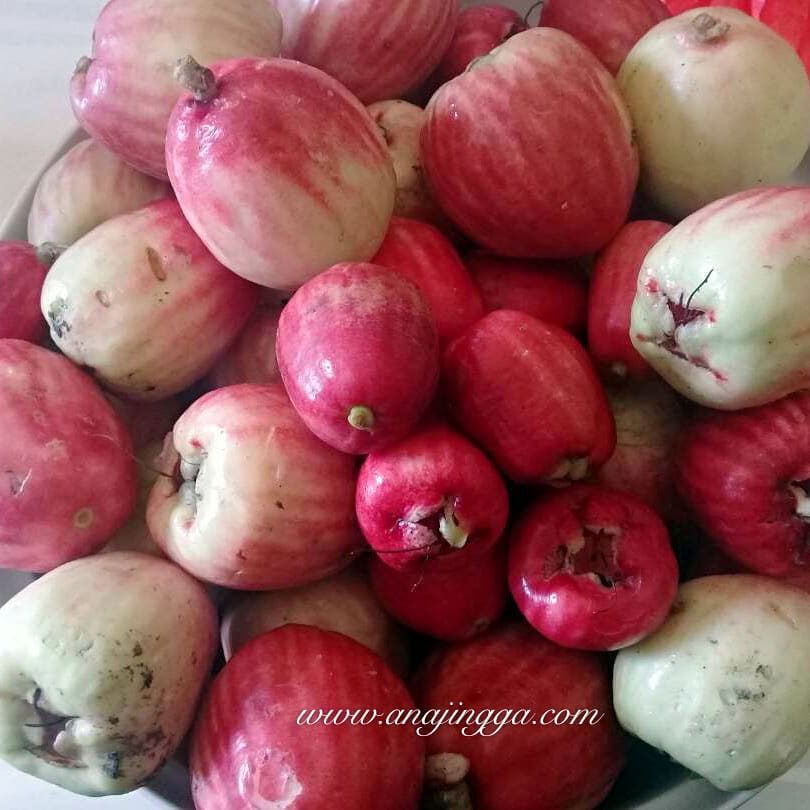 Mengidam Jambu Kepal