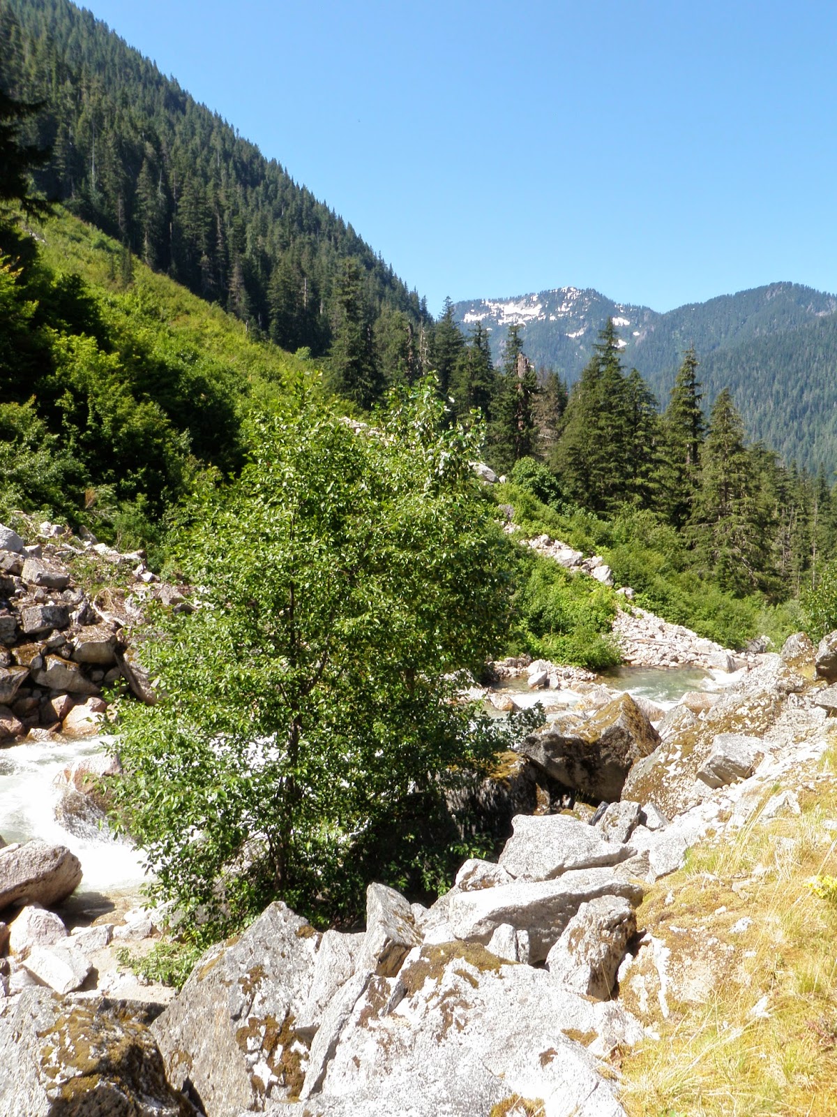 Our Washington Adventure: Jared's Exploration Day -- Beckler Road