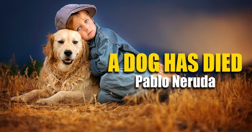 A Dog Has Died by Pablo Neruda