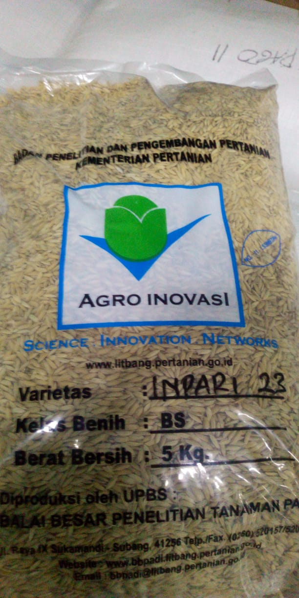 BENIH PADI INPARI 23 AROMATIK LABEL KUNING - Tani Makmur Nusantara
