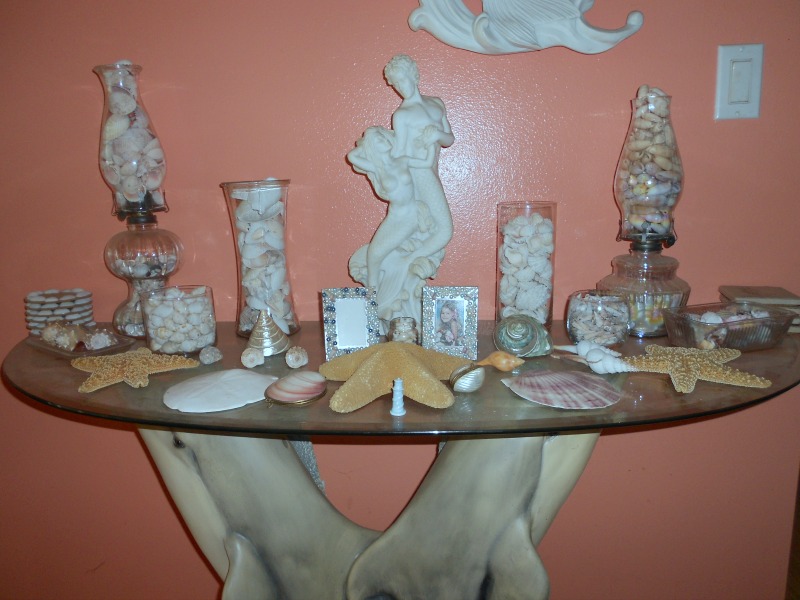 Del's Shells: More Ways to Display Shells