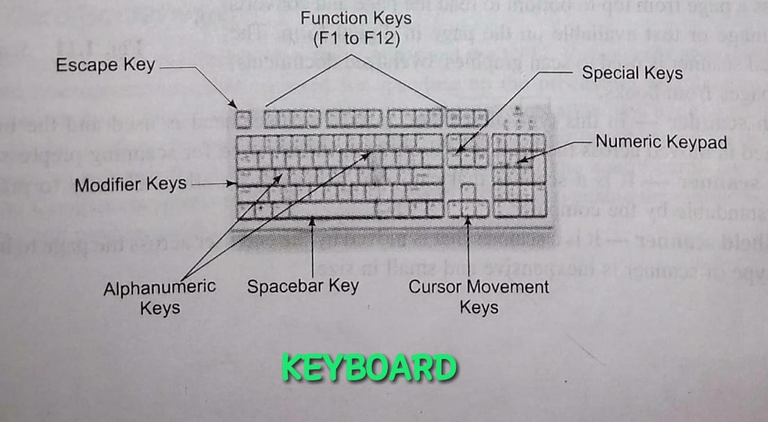 INPUT DEVICES OF COMPUTER , ( IN BASIC ENGLISH )