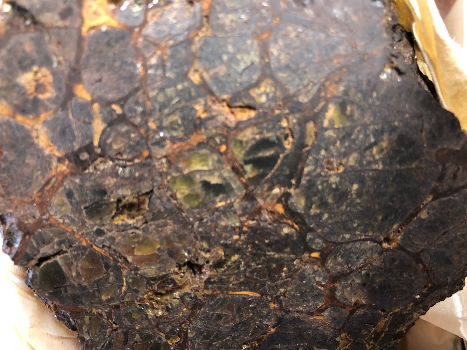 Meteorites and the history of Earth