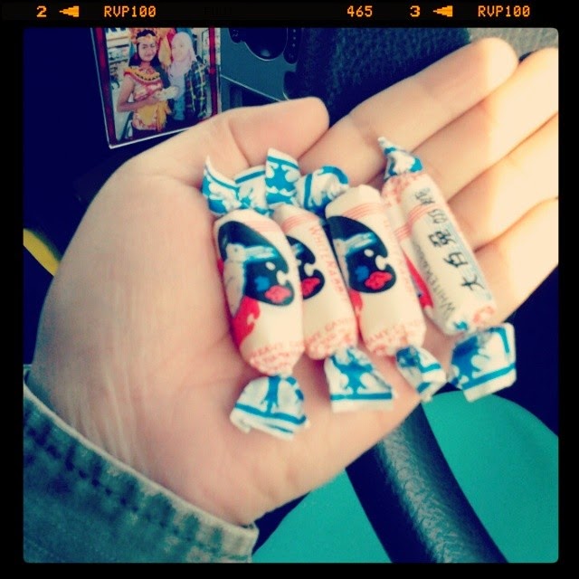 archi kids: Gula Gula Susu Arnab