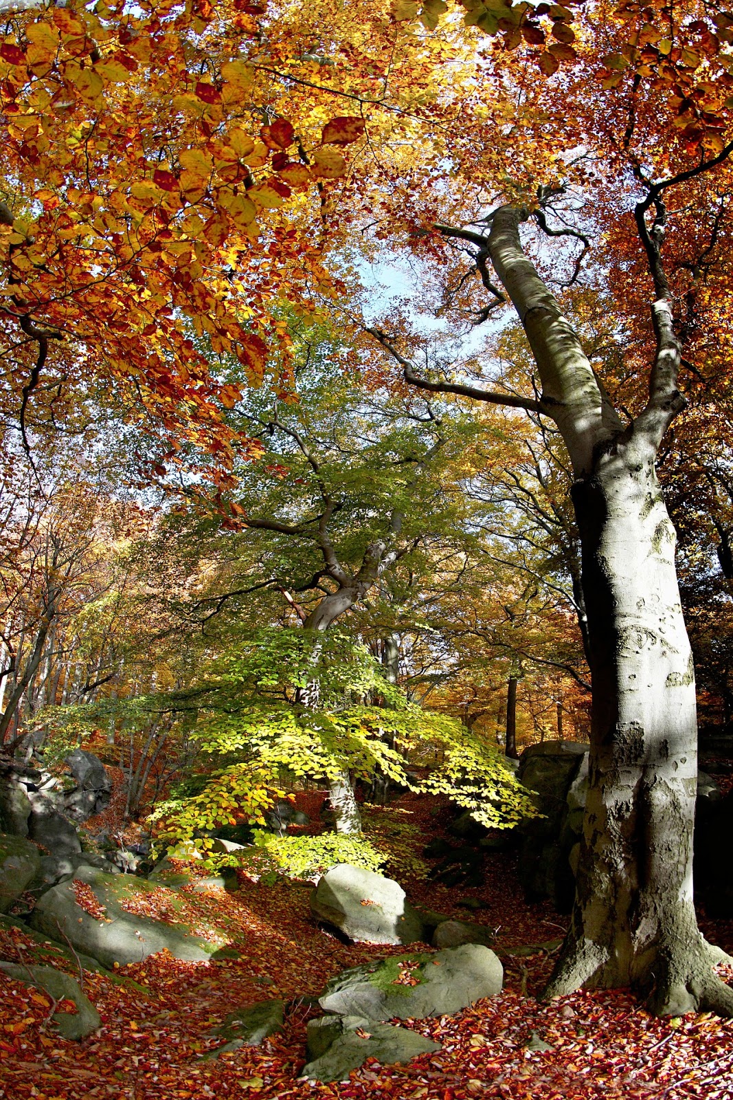 Czech Off the Beaten Path: Autumn and the Burčák Buzz