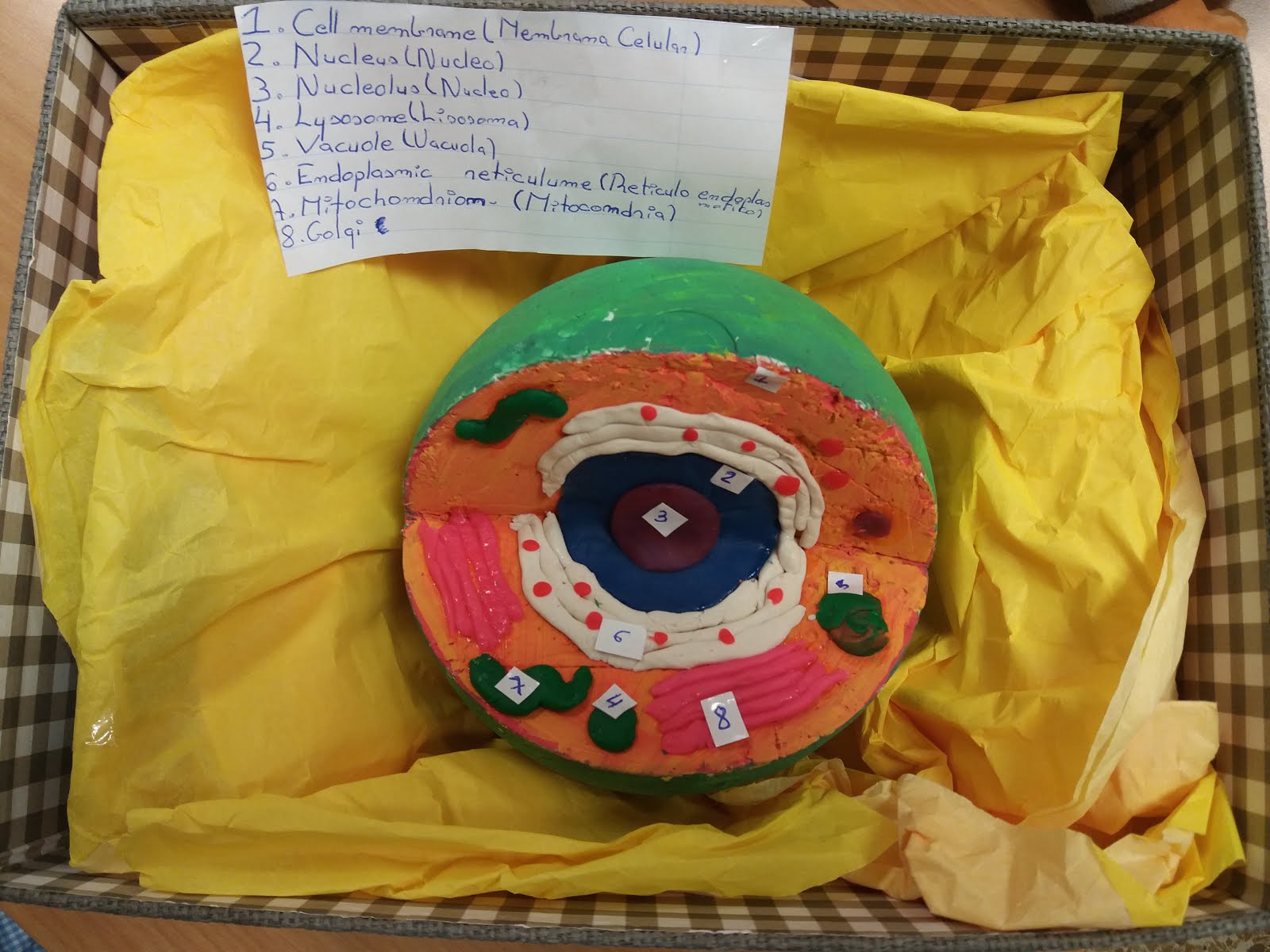 MilaEnglish Blog Animal And Plant Cells Projects milaenglish-blog-animal-and-plant-cells-projects